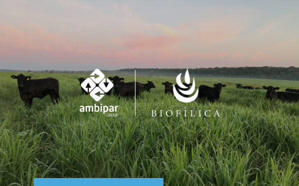 About Us-Minerva Foods SA