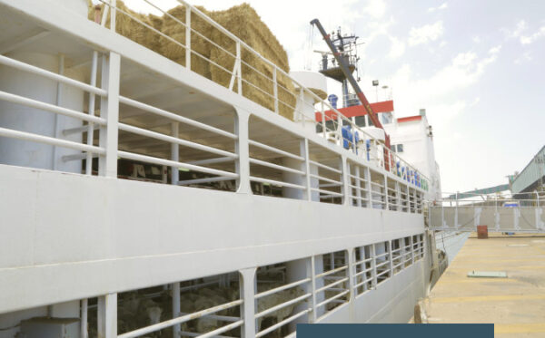 About Us-Minerva Foods SA